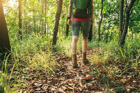 Womens Hiking Shorts These 4 Great Picks Start At Just 21