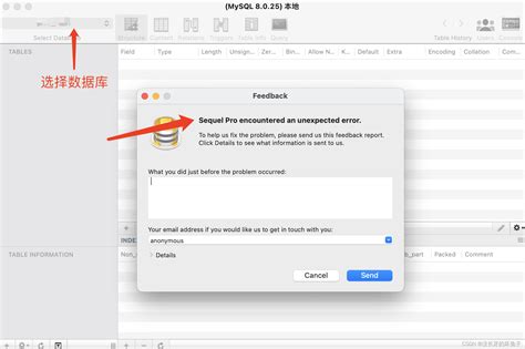 Sequelpro安装和踩坑记录sequel Prowindow Csdn博客
