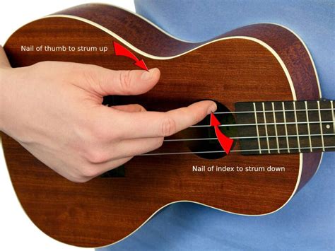 Ukulele Music Theory 101 Easily Change Keys Learn Scales And Sing