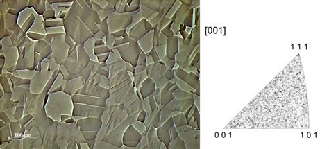 The Structure Of The Base Stainless Steel Aisi 316l Material Optical