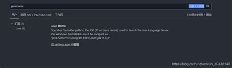 Vscode 配置 Java 开发环境 Vscode 天下第一vc怎么添加jdk Csdn博客