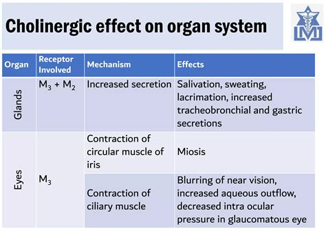 Autonomic Nervous System Introduction Ppt