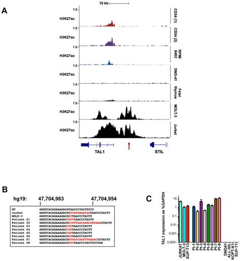 Oncogene Regulation An Oncogenic Super Enhancer Formed Through Somatic