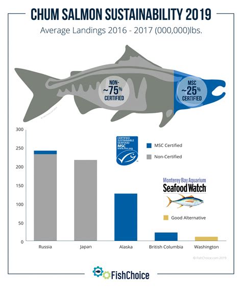 Steelhead Vs Salmon Nutritional Value Nutrition Ftempo