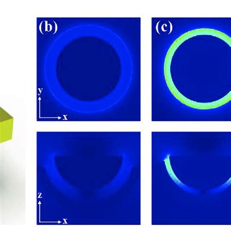 A Schematic Illustration Of The Nanogap Structures B D Top View Xy