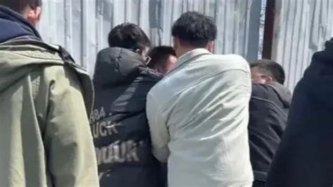 湖南师大回应虐猫事件：涉事者非该校学生，警方已介入处置凤凰网视频凤凰网