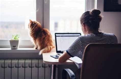 Entenda Se Vale A Pena Ter Um Trabalho Remoto