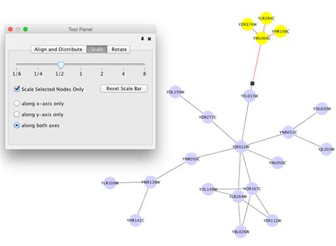 12 Navigation And Layout — Cytoscape User Manual 340 Documentation
