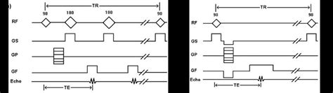 Spin Echo And Gradient Echo Sequences Used In The Experiments