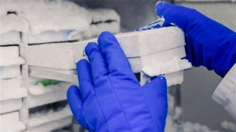 فيروس كورونا عقبة مهمة تنتظر لقاح فايزر بيونتيك Bbc News عربي