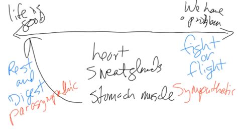 Lab Exam 4 Flashcards Quizlet