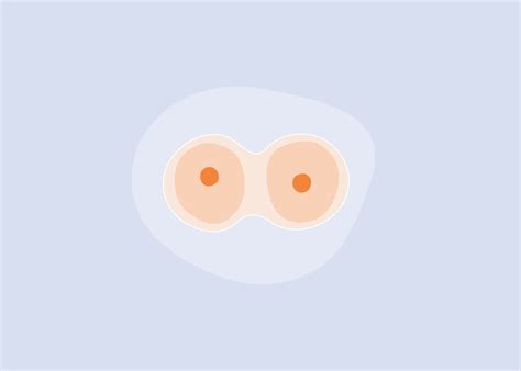 What Are The Signs Of Early Pregnancy
