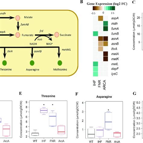 Integrated Transcriptomics And Metabolomics Analysis At Pep And Download Scientific Diagram