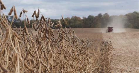 How Agriculture Hastens Species Extinction Cbs News
