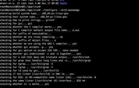 Annotations Not Take Effect When Use Crun Run Wasmedge Directly Issue