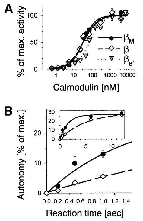 Calmodulin Activation Constant And Initial Rate Of Autophosphorylation Download Scientific