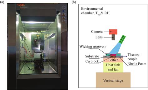Experimental Setup For The Condensation Experiments On The Horizontally