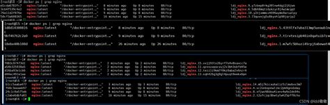Docker Service 服务部署，扩容缩容docker Service Scale Csdn博客