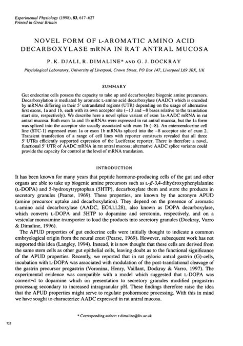 Pdf Novel Form Of L Aromatic Amino Acid Decarboxylase Mrna In Rat