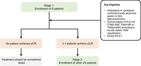 Full Article Efficacy And Safety Of Sintilimab In Combination With Concurrent Chemoradiotherapy