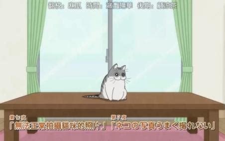 Bilibili