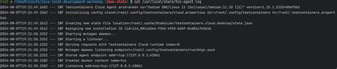 streamlining local development with dev containers and testcontainers