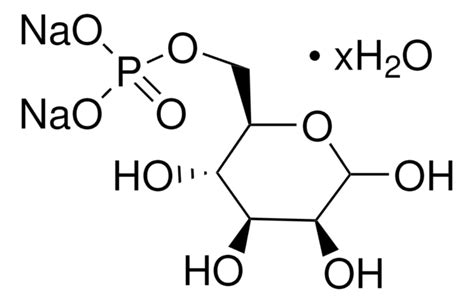 Mannose 6 Phosphate Sigma Aldrich