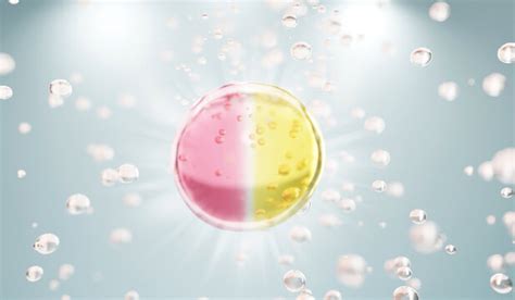 รูปภาพanatomi เลือกดูภาพถ่ายสต็อก เวกเตอร์ และวิดีโอ366 Adobe Stock