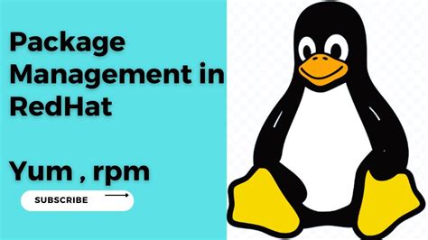 How To Install Package In Redhat Yum Package Manager Yum Command For Beginners Youtube