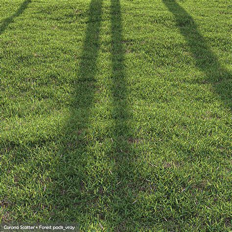 Bermuda Grass 3d Model Cgtrader