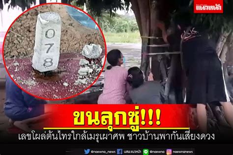 ข่าว Like สาระ ขนลุกซู่ เลขโผล่ต้นไทรใกล้เมรุเผาศพ ชาวบ้านแห่พากัน