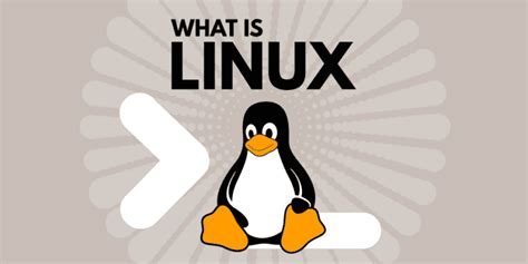 What Is Linux A Guide For Non Technical Users