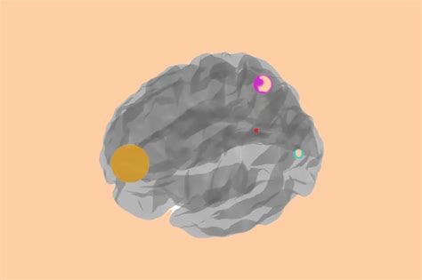 Nilearn Python