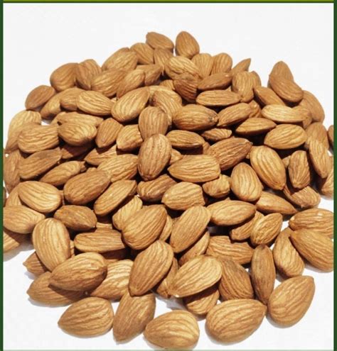Badam Nuts 25 Kg Bags At Rs 550kg In Coimbatore Id 27456939012
