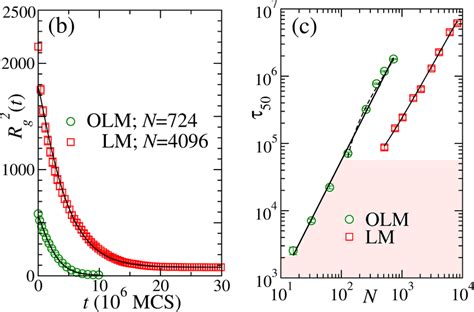 A Time Evolution Snapshots Of The Collapse Of A Homopolymer After