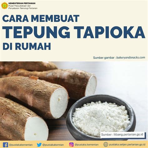Detail Gambar Tepung Singkong Siap Digunakan Koleksi Nomer 2