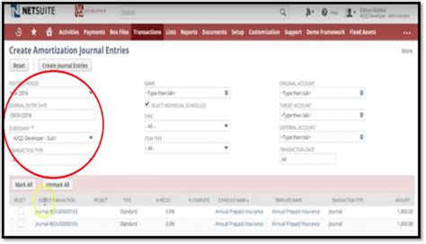 netsuite create amortization journal entry