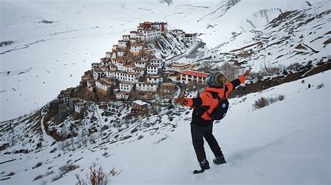 Tiny Ecosystem Tiny Ecosystem Added A New Photo