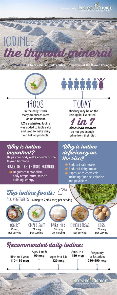 Iodine And Your Thyroid Infographic