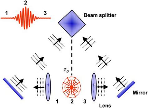 Fluorescence Interferometry Principles And Applications In Biology Pmc