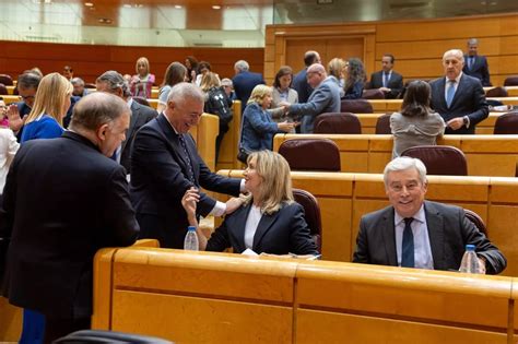 El Pp Veta La Amnistía En El Senado Estos Son Los Siguientes Pasos