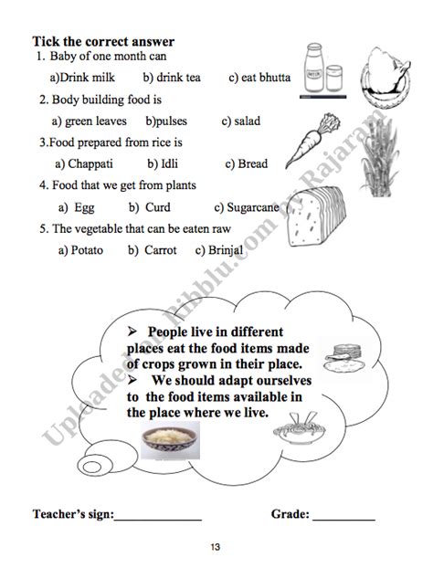 Cbse Class 3 Evs Worksheets Chapter Wise