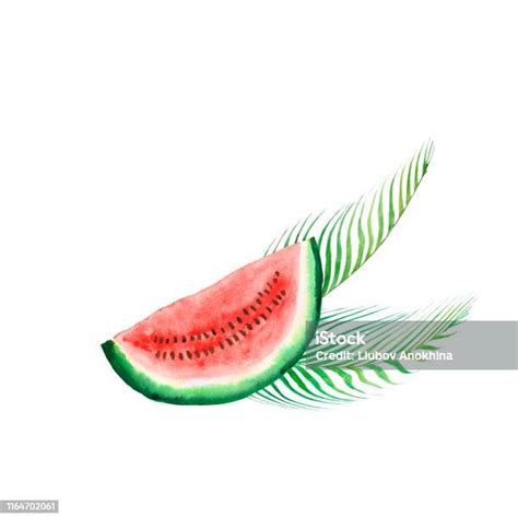 수채화 카드 열대 잎과 흰색 배경에 고립 된 수박의 조각 디자인 웨딩 초대장 인사말 카드 일러스트 개념에 대한 스톡 벡터 아트