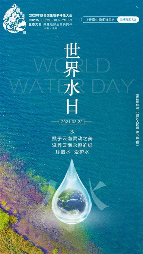 世界水日珍惜爱护水资源 澎湃号湃客 澎湃新闻 The Paper