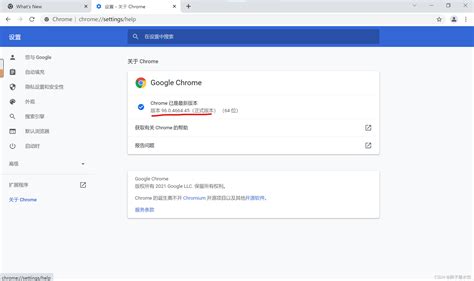 利用 Python 和 Selenium 自动下载知网期刊文件 Csdn博客