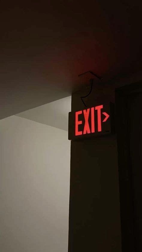 Exit Sign Glow In The Dark Exit Sign 12 By 8 Inches Photoluminescent By Natraco 4 Pack Parole