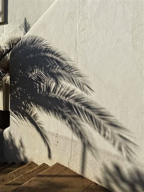 Pin Van Merel Broodcoorens Op Aesthetic Foto Inspiratie Foto