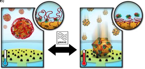 Silicon Nanomaterials In Drug Delivery Nanostructured Biointerfaces