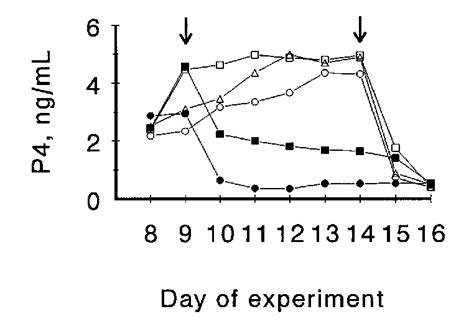 Serum Concentrations Of Progesterone P4 Beginning On D 8 Of The