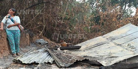 “esta Era Mi Casa” Incendio En La Zona Sud Yungas De La Paz Arrasó Con